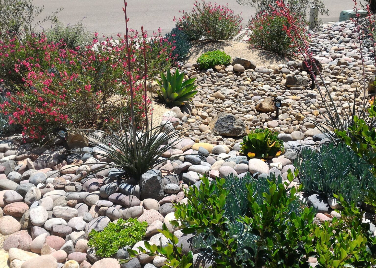 How to Improve Yard Drainage: Solutions for Swampy Lawns