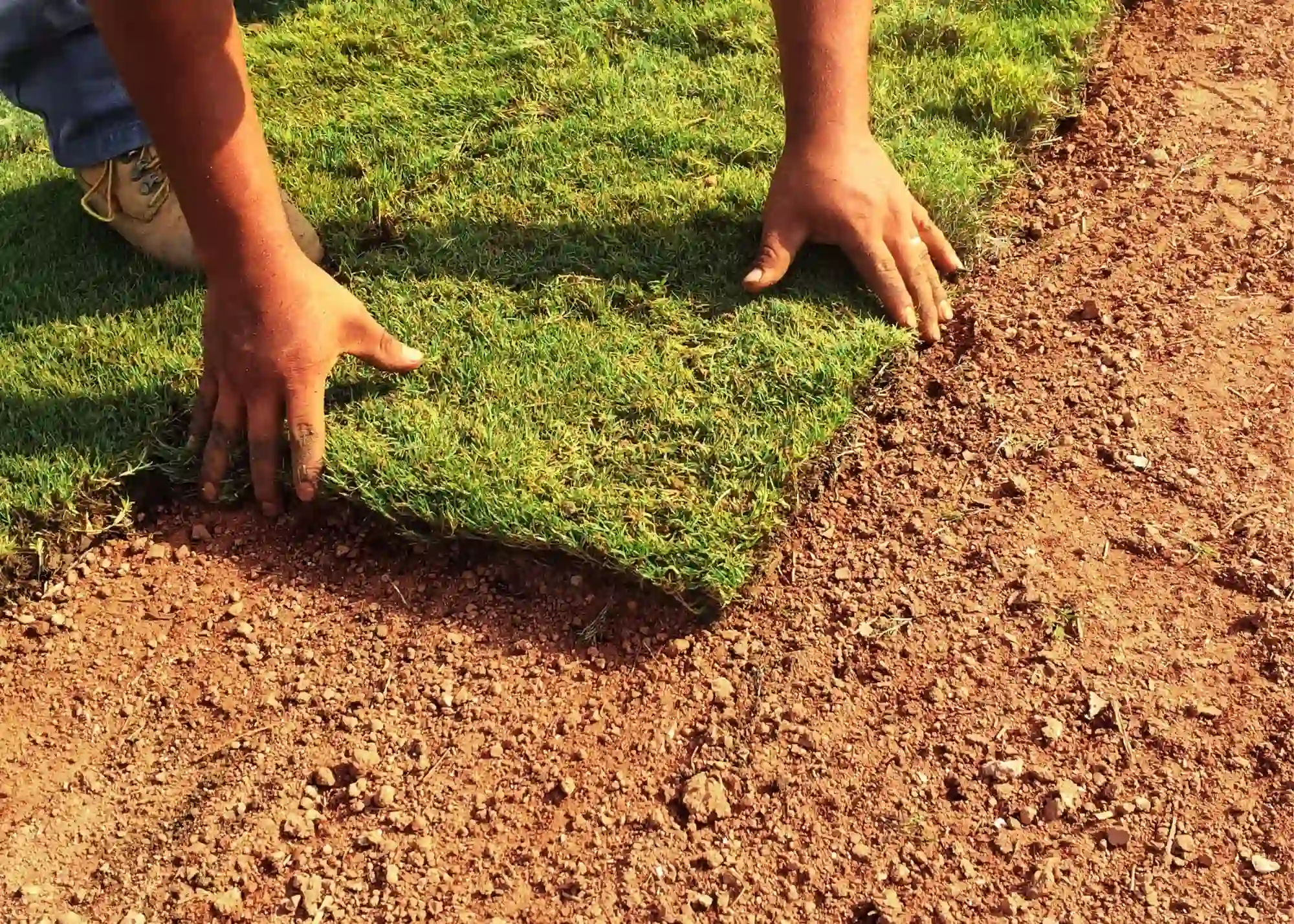 Crystal Lake, IL Sod & Lawn Installation - Replacement