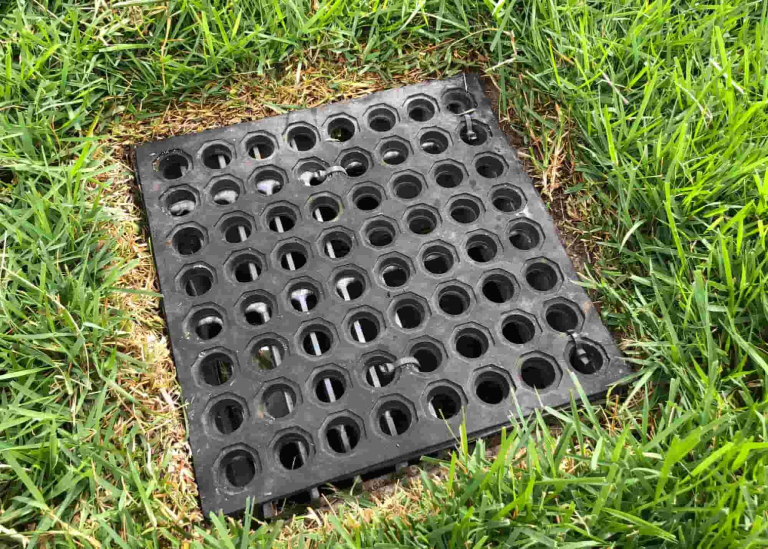 Types of Yard Drains: A Guide to Backyard Drainage Systems