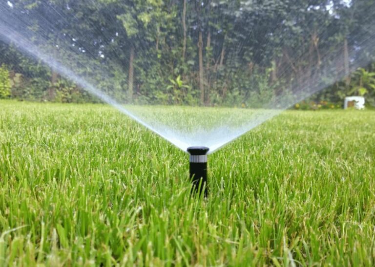 Can You Overwater Your Lawn? Signs of Overwatered Grass